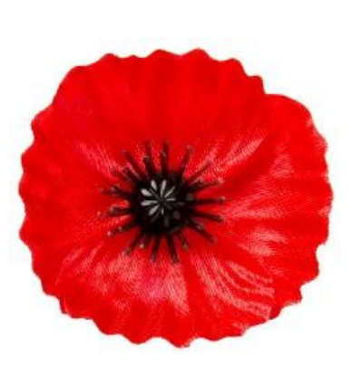 REMEMBRANCE DAY TRADITIONS – THE POPPY | Livonne